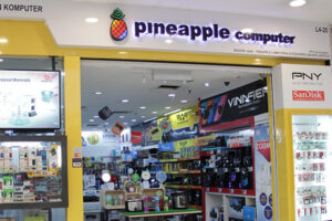 OUR BUSINESSES - Pineapple Resources Berhad